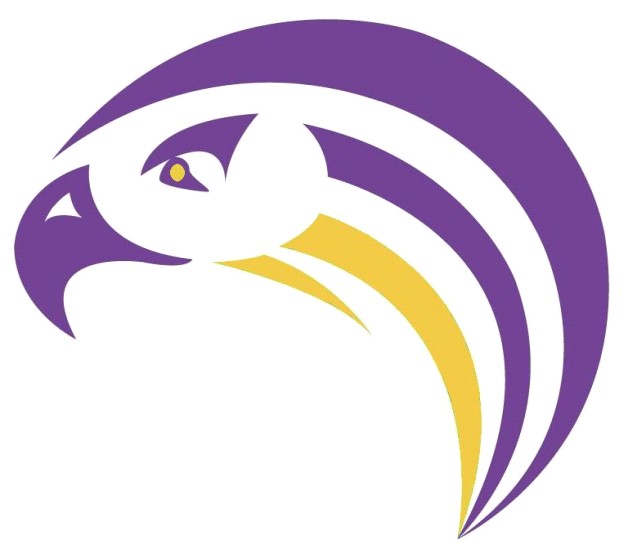 Aiken Falcon logo - ABC Cincy