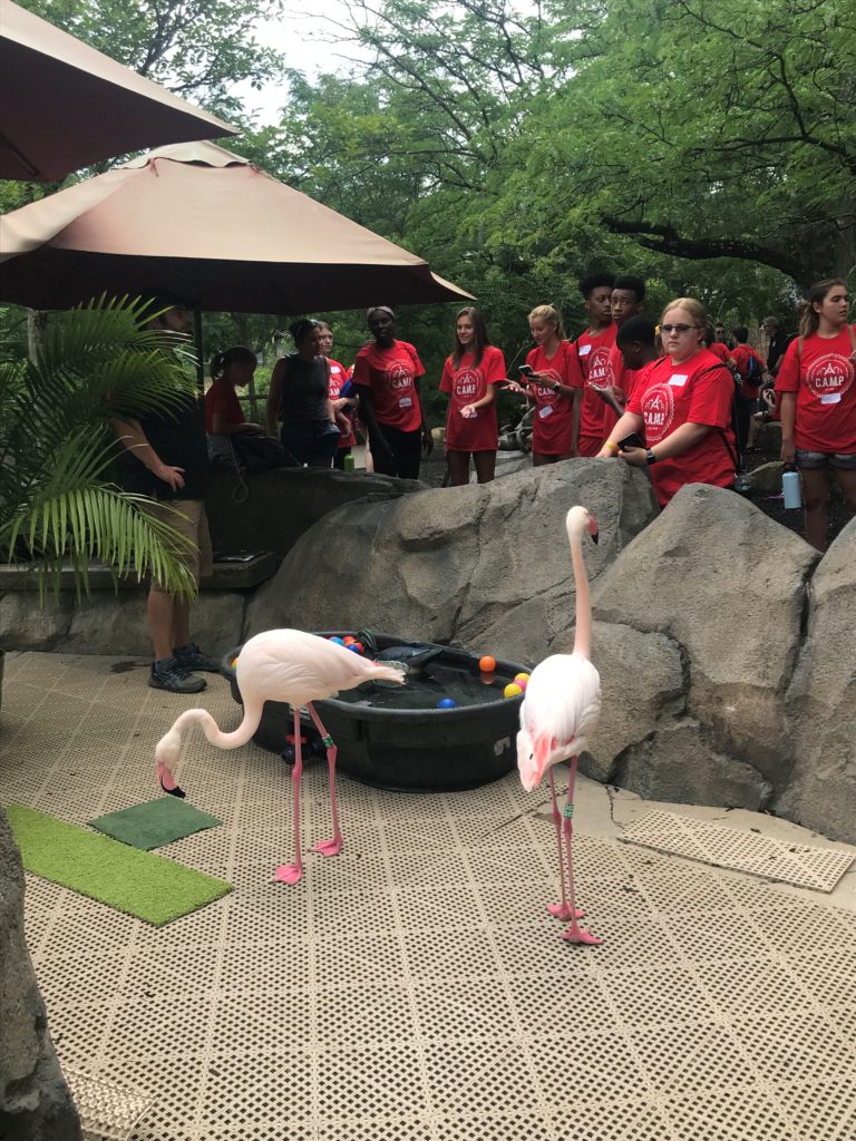 zoo walk - ABC Cincy